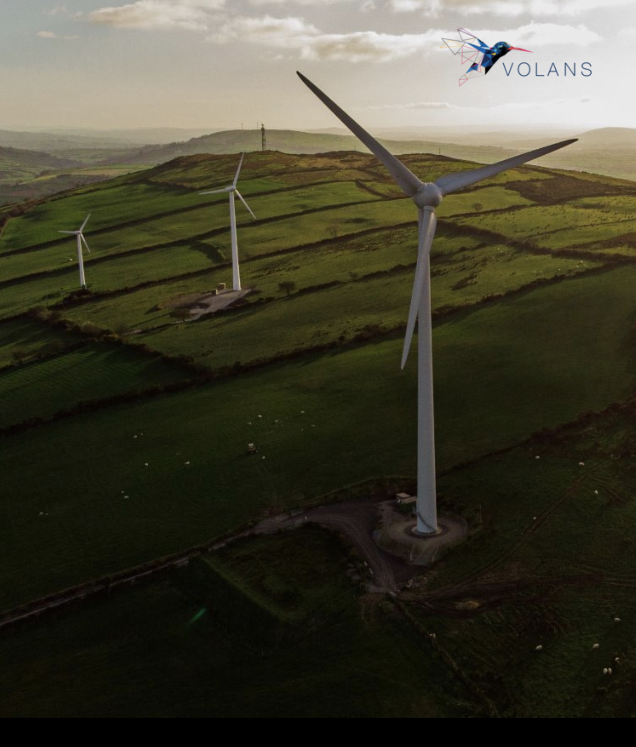 What we do - Volans